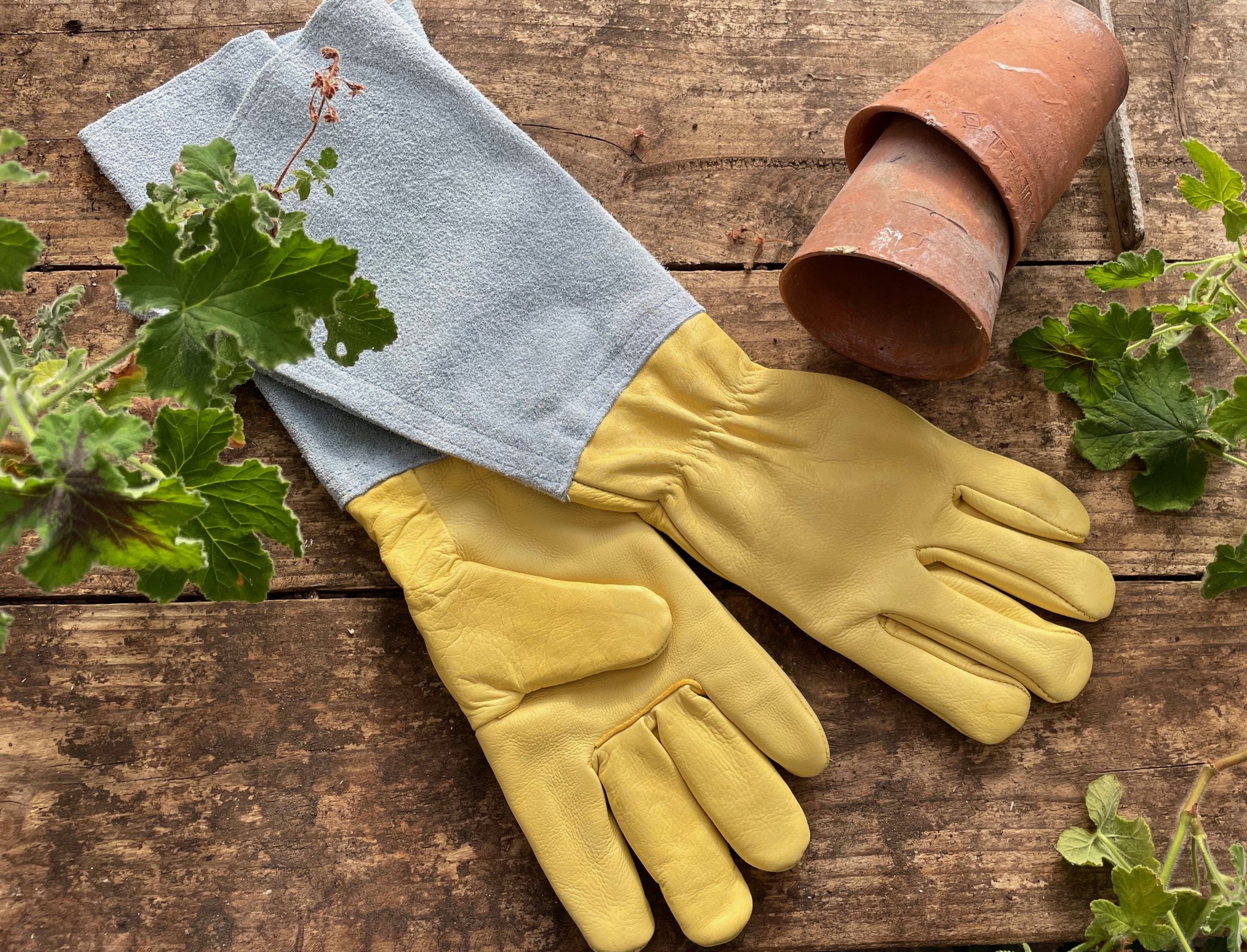 Gardening Gauntlets Blue Suede & Leather- Little Garden Shop